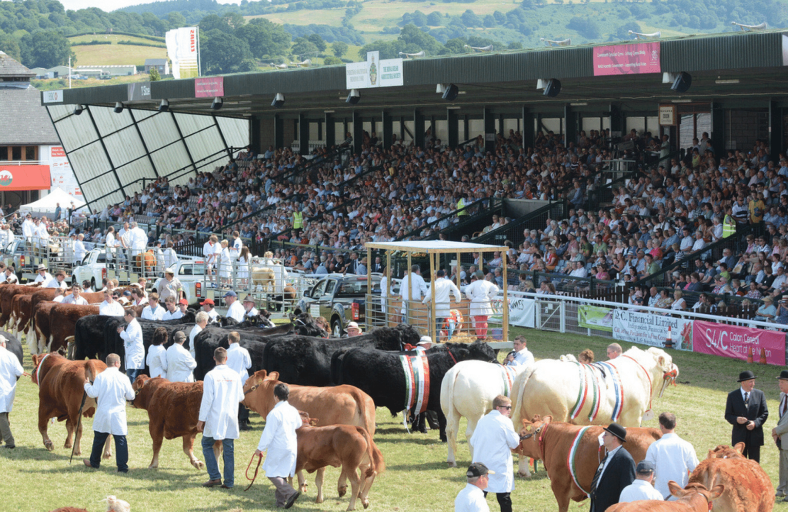 4★ Wales The Royal Welsh Show 2026